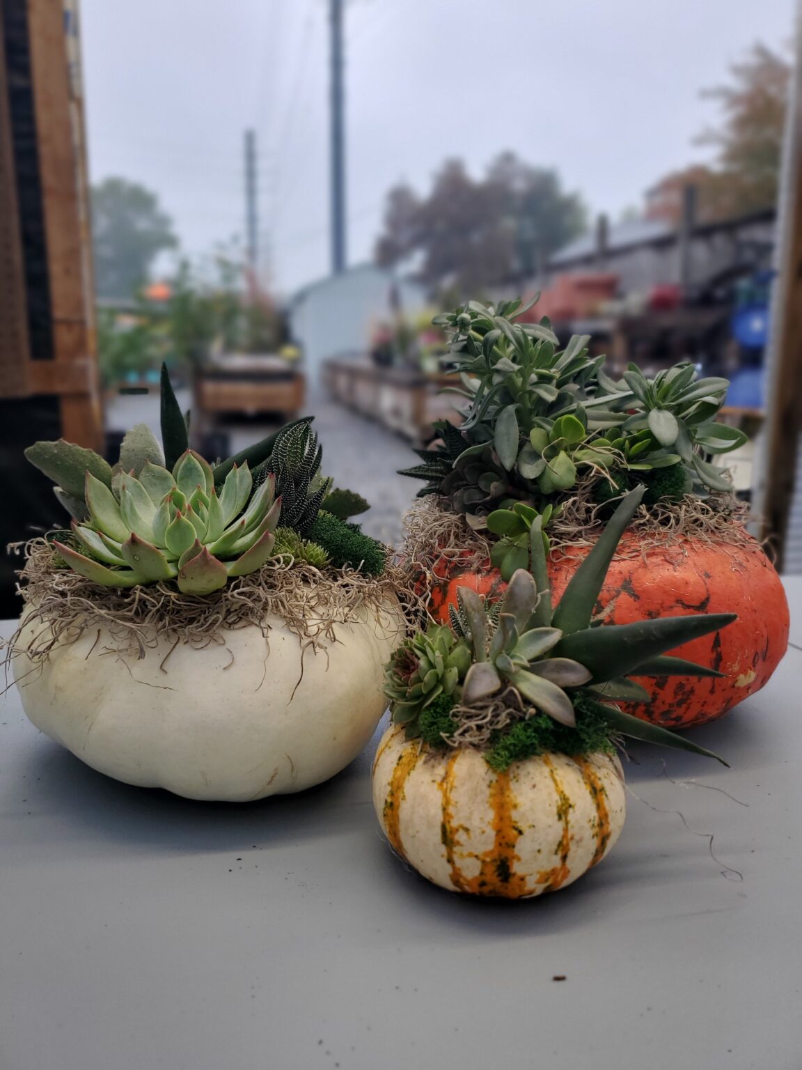 Classes and Workshops